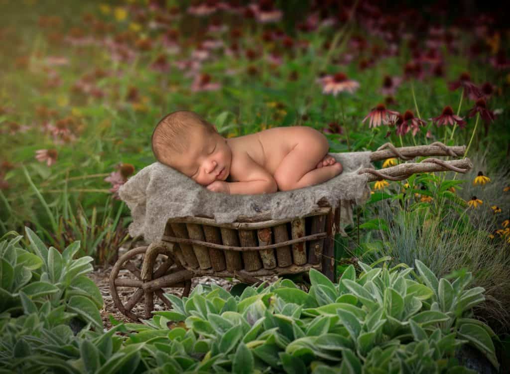 Mason ~ Garden theme Newborn Photos | One Big Happy Photo