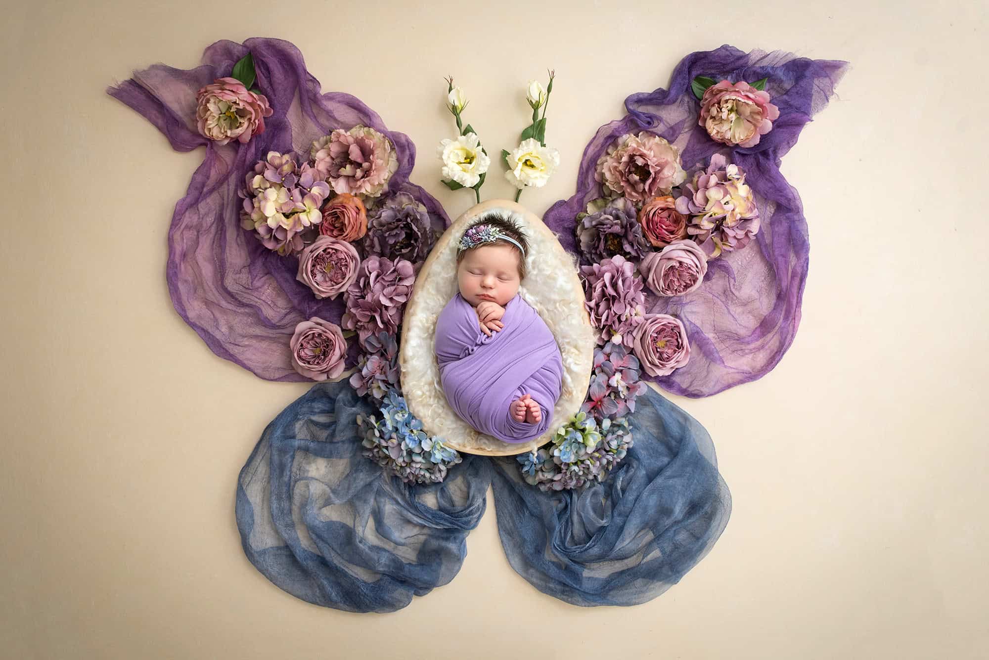 Newborn Photos With Butterflies Newborn Sibling Photos